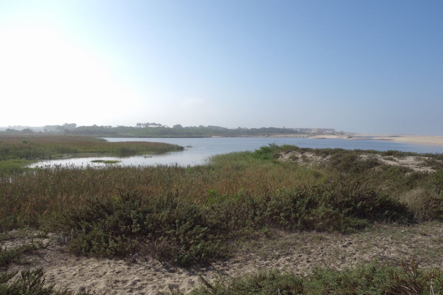 Os Passadiços da Barrinha / Lagoa de Paramos – ANDES SEM PARAR