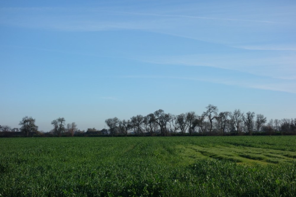 Um Passeio pela Azambuja – ANDES SEM PARAR